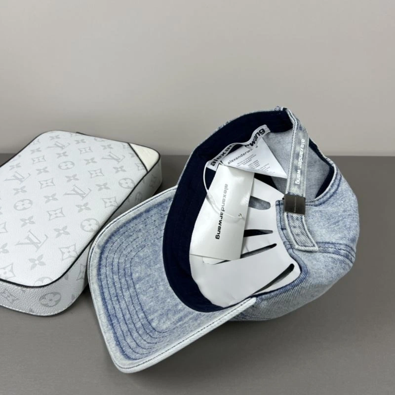 Cut-rate Alexander Wang Caps