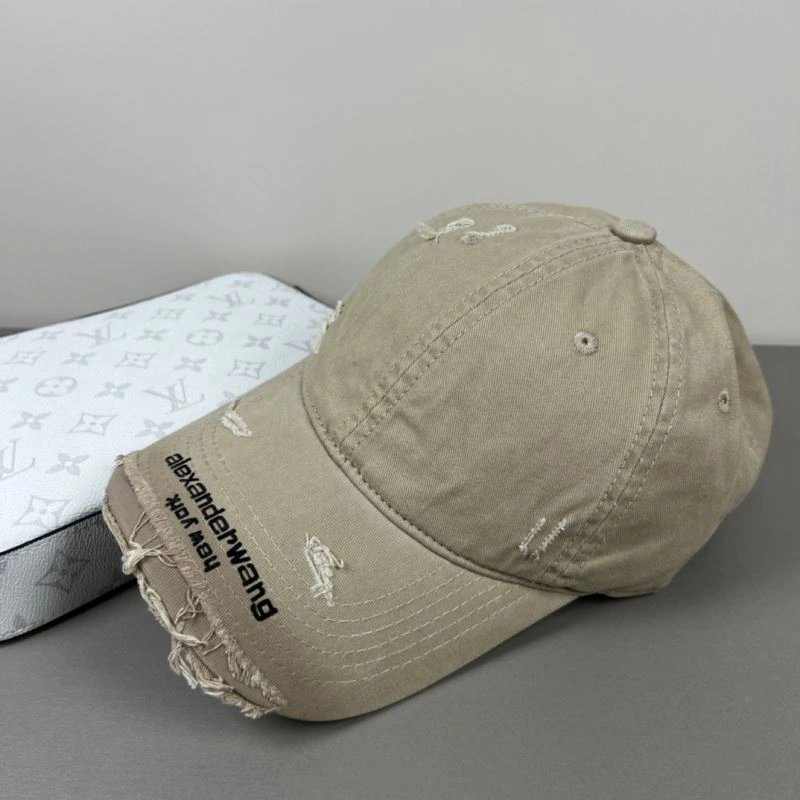 Legit Alexander Wang Caps