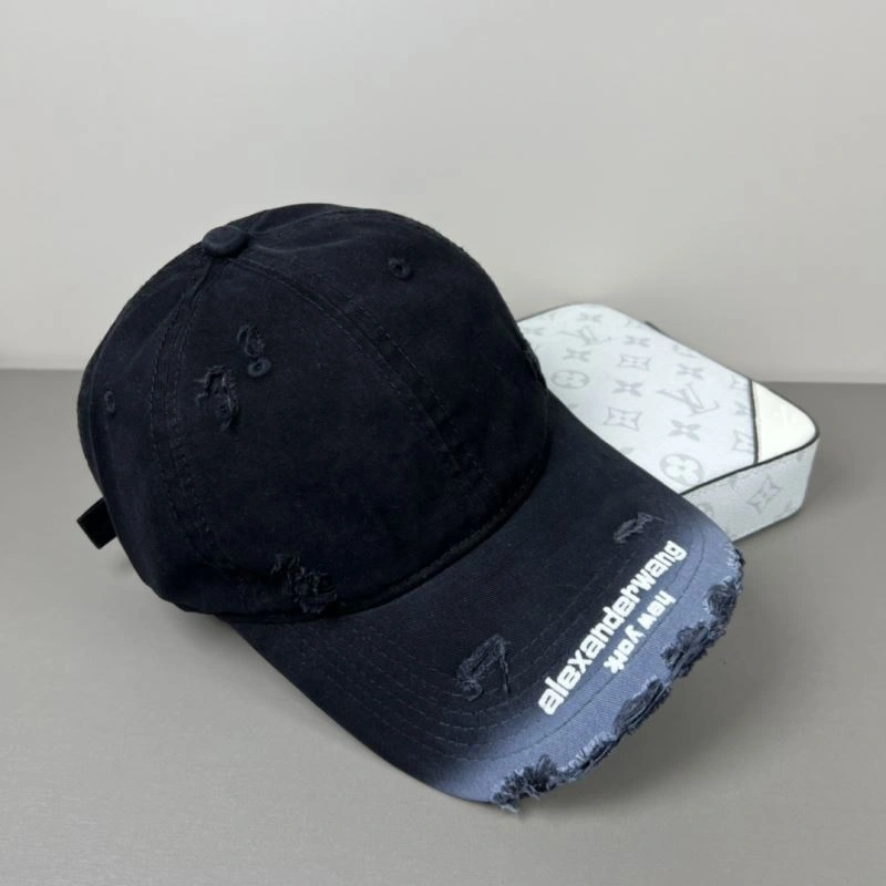 Legit Alexander Wang Caps