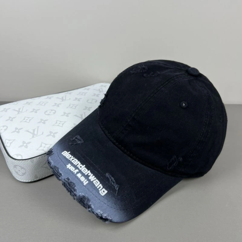 Legit Alexander Wang Caps