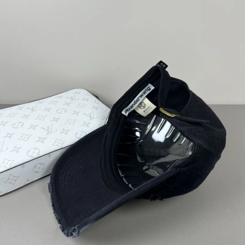 Legit Alexander Wang Caps