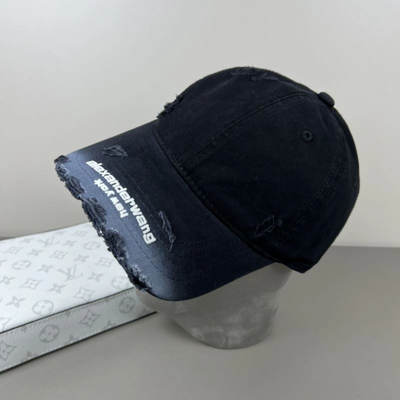 Legit Alexander Wang Caps