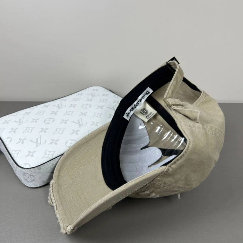 Legit Alexander Wang Caps