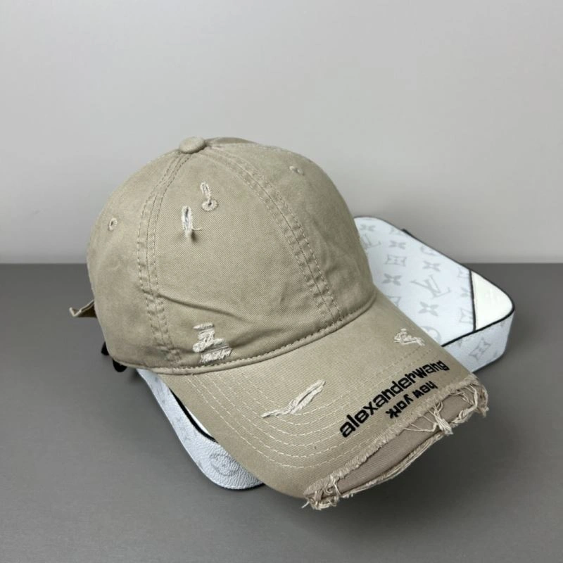 Legit Alexander Wang Caps