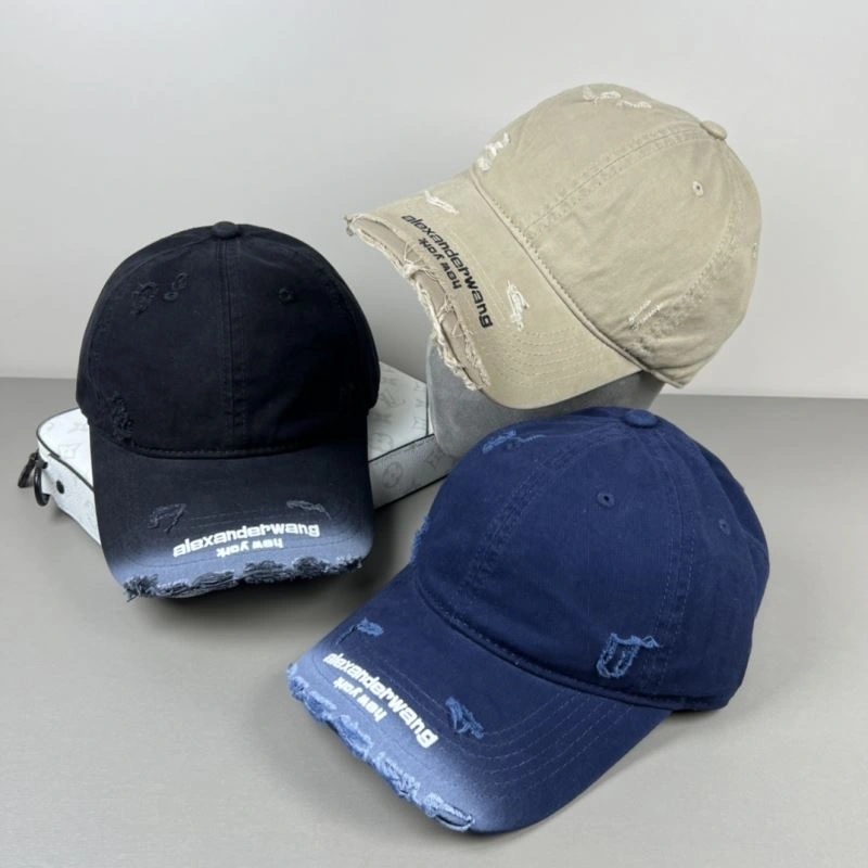 Legit Alexander Wang Caps