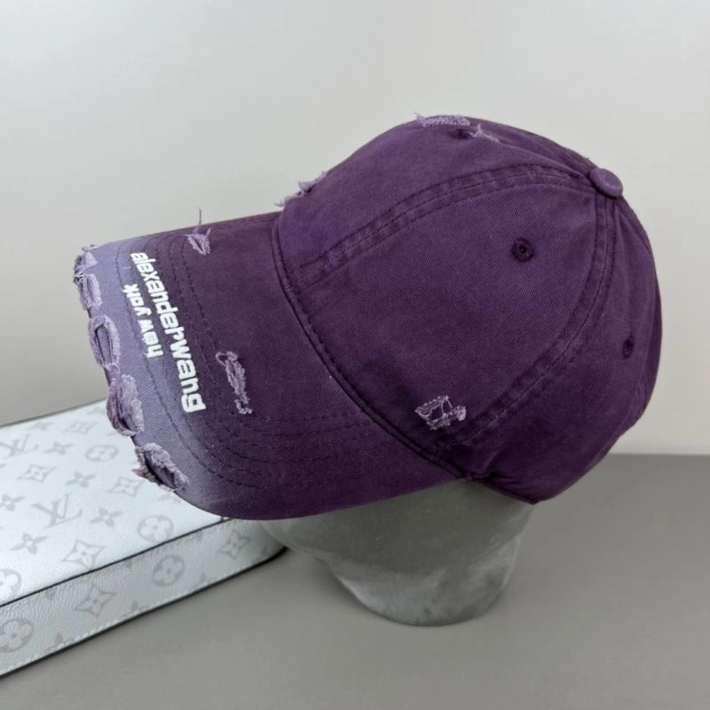 Alexander Wang Caps