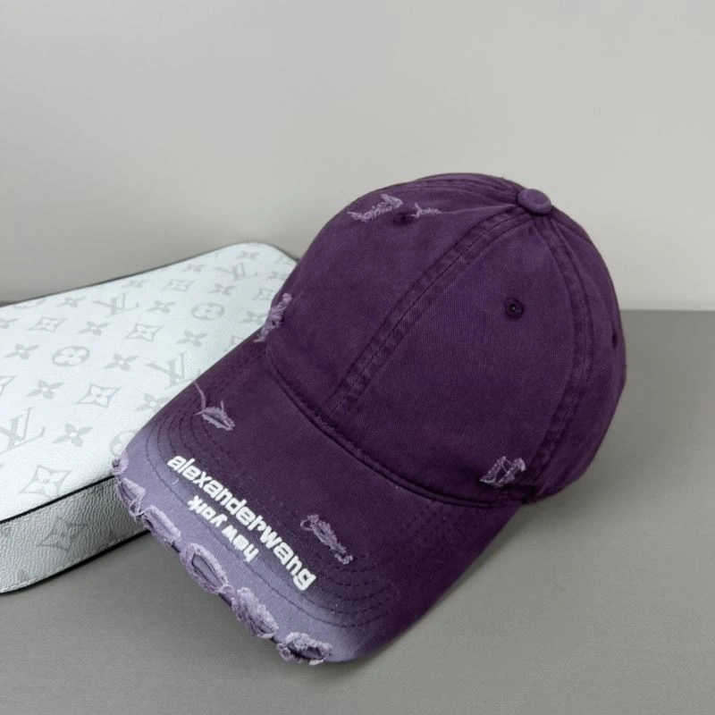 Mirror quality Alexander Wang Caps