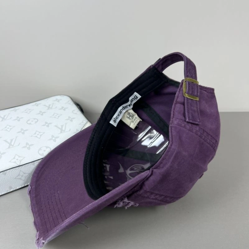 Mirror quality Alexander Wang Caps