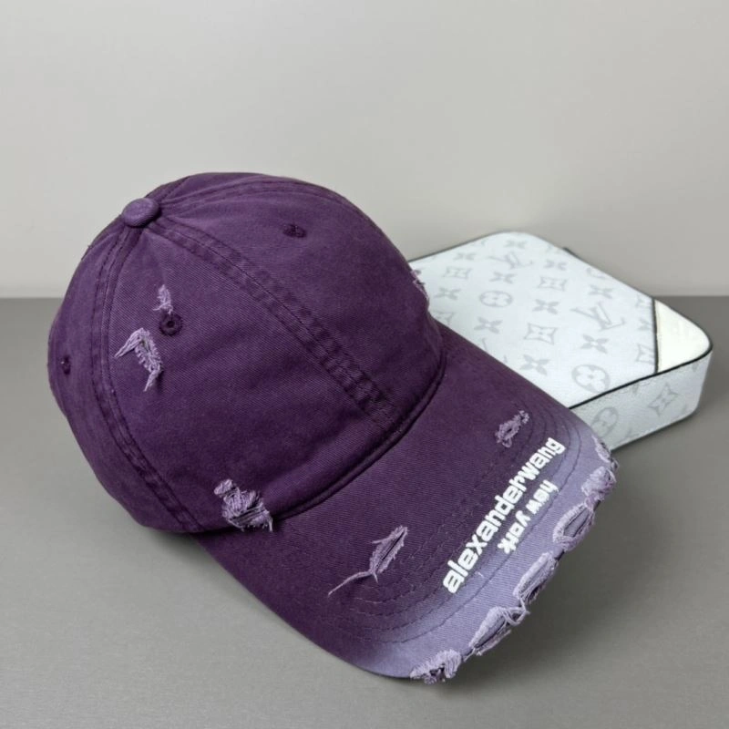 Mirror quality Alexander Wang Caps