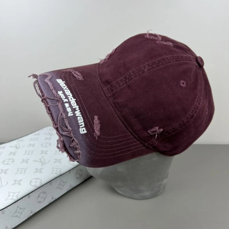Alexander Wang Caps