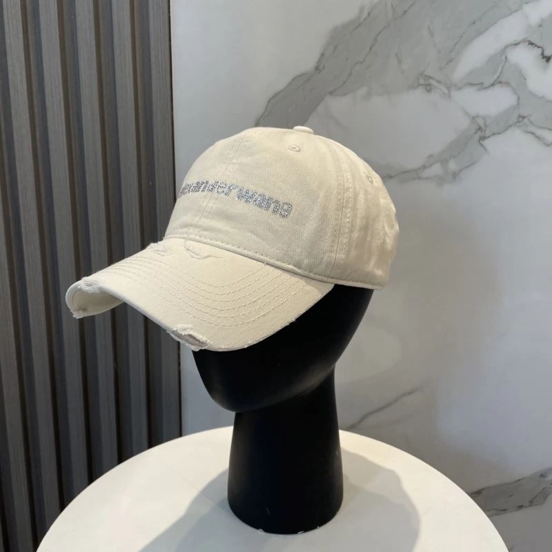 Alexander Wang Caps