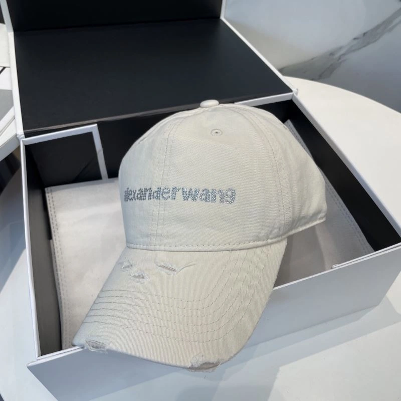 Value-priced Alexander Wang Caps