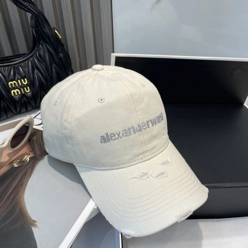 Value-priced Alexander Wang Caps