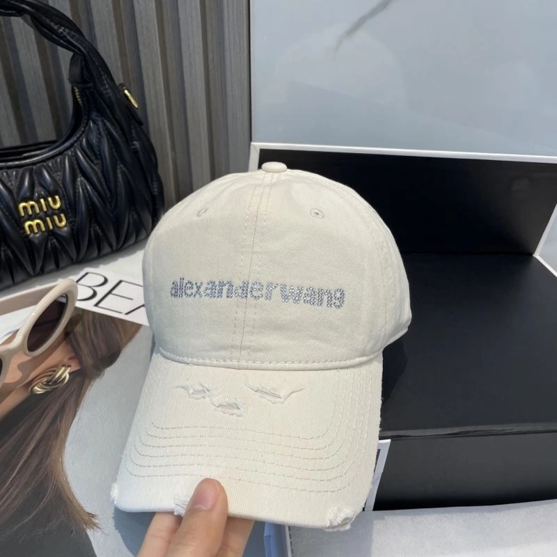 Value-priced Alexander Wang Caps