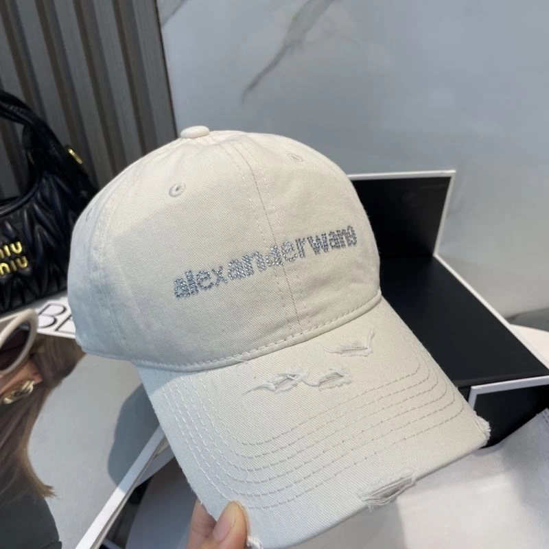 Value-priced Alexander Wang Caps