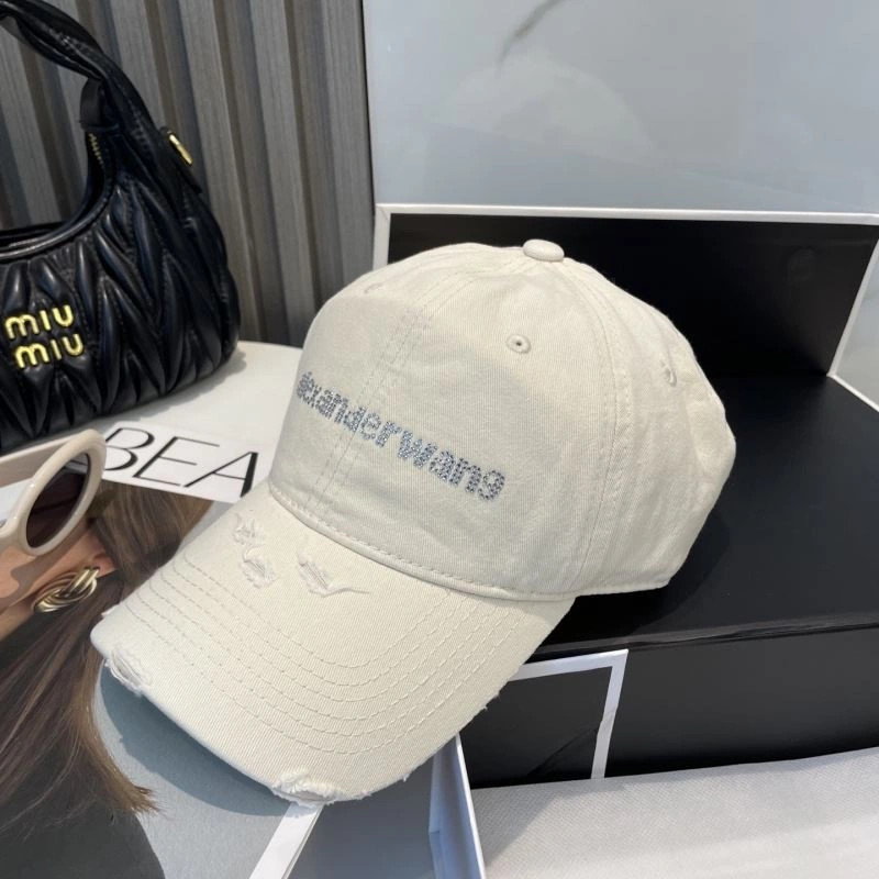 Value-priced Alexander Wang Caps
