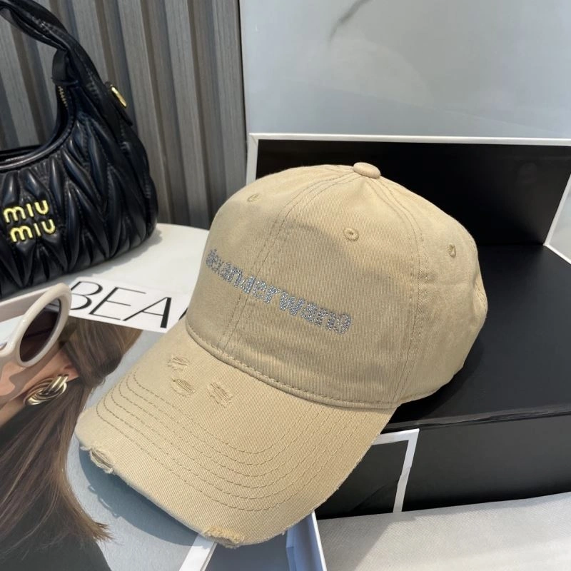 Inexpensive Alexander Wang Caps