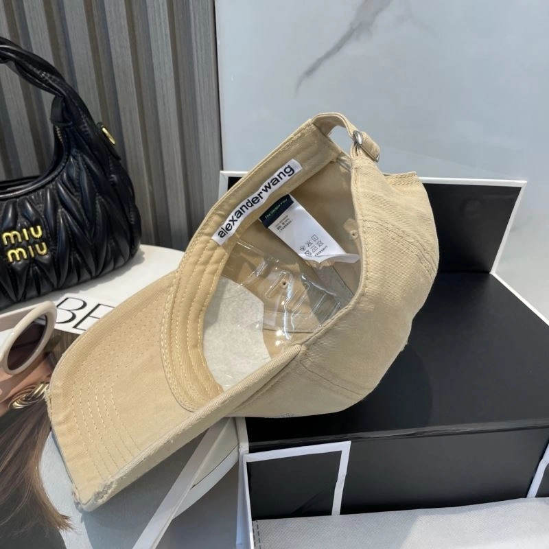 Inexpensive Alexander Wang Caps