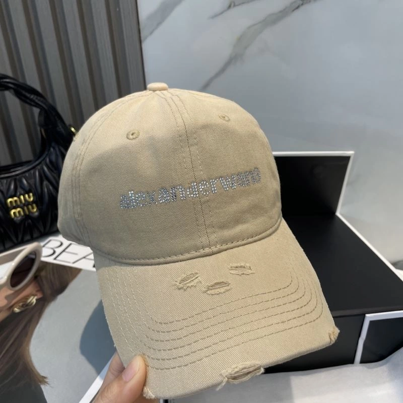 Inexpensive Alexander Wang Caps