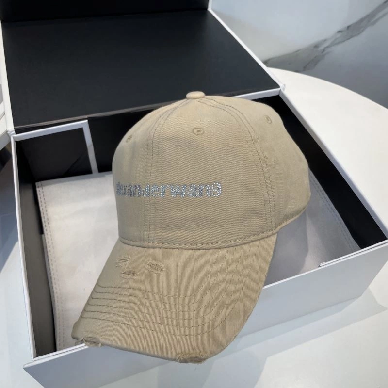 Inexpensive Alexander Wang Caps