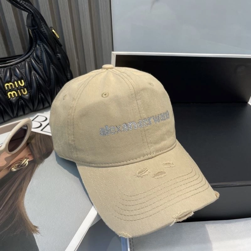 Inexpensive Alexander Wang Caps