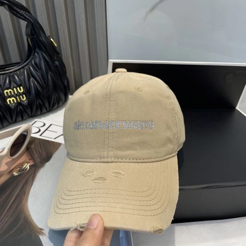 Inexpensive Alexander Wang Caps