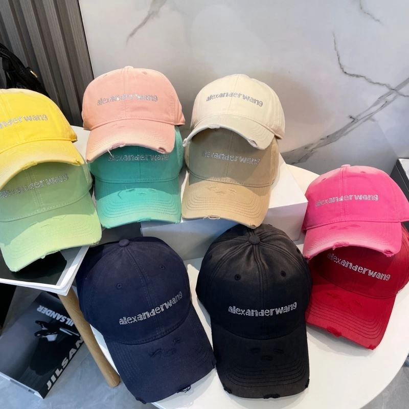 Inexpensive Alexander Wang Caps