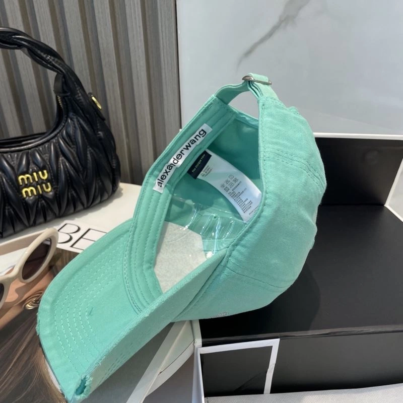 Reasonably priced Alexander Wang Caps