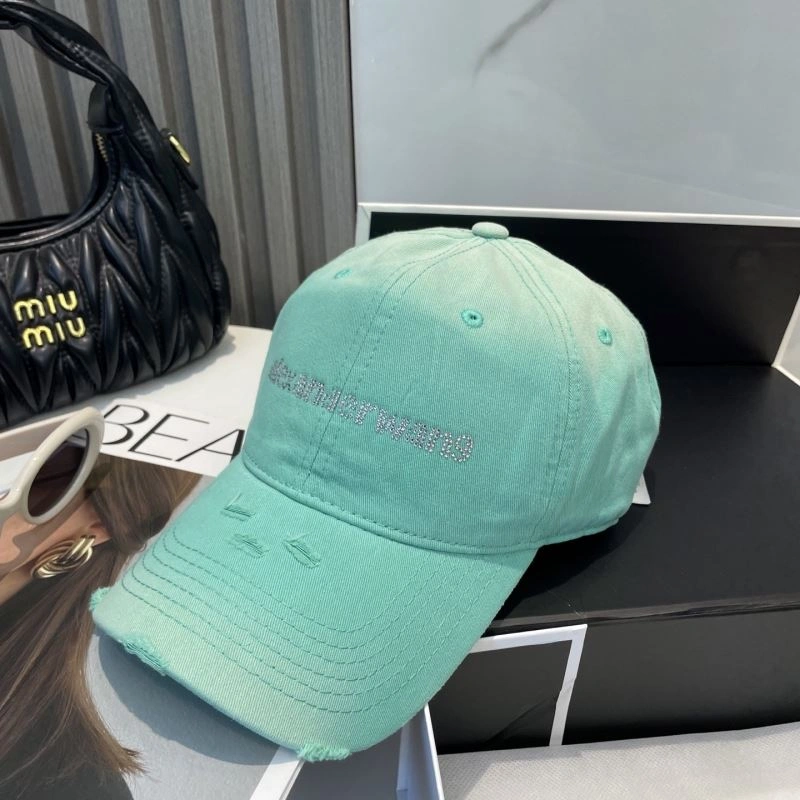 Reasonably priced Alexander Wang Caps