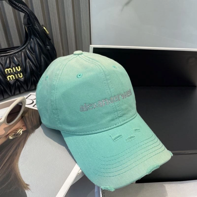Reasonably priced Alexander Wang Caps