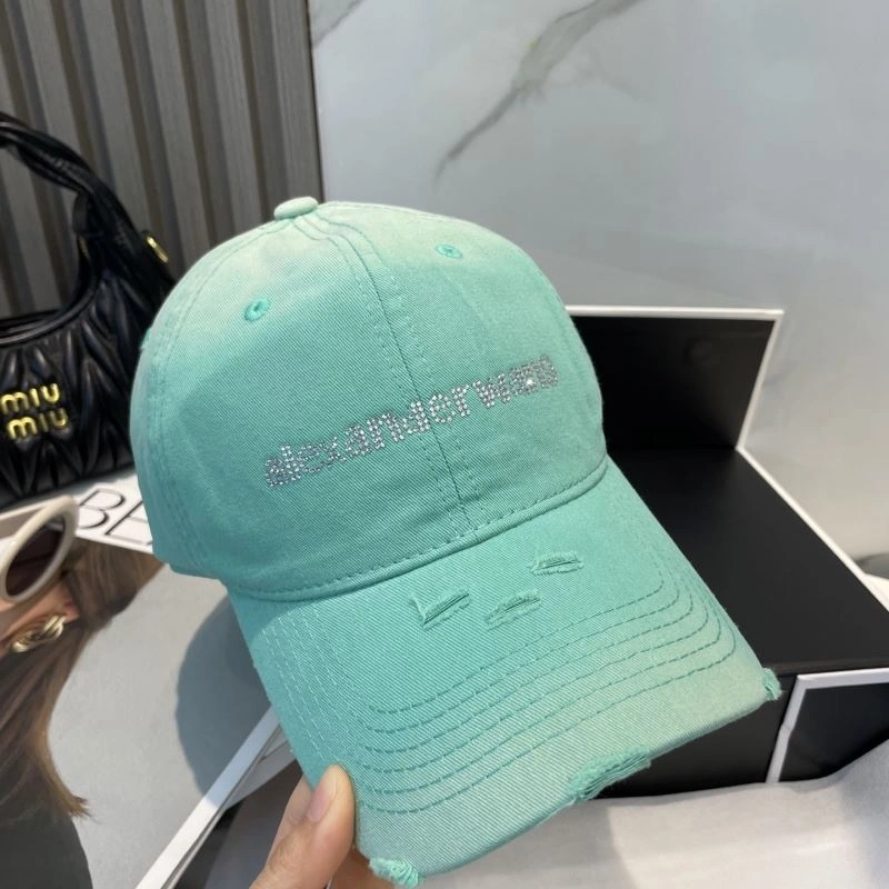 Reasonably priced Alexander Wang Caps