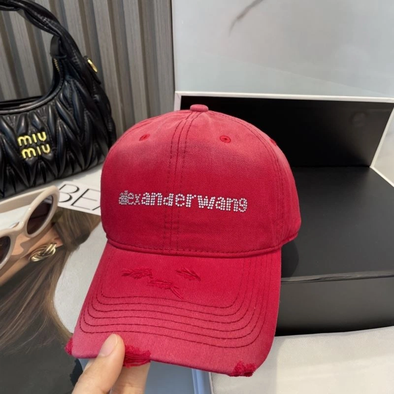 Low-cost Alexander Wang Caps