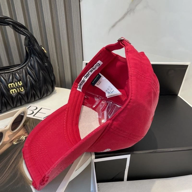 Low-cost Alexander Wang Caps