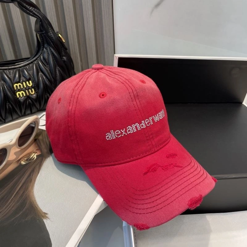 Low-cost Alexander Wang Caps