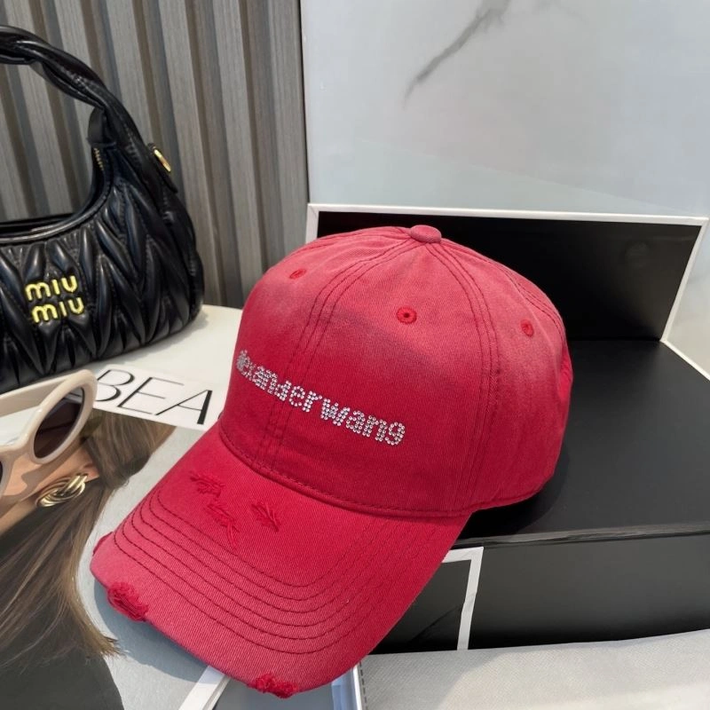 Low-cost Alexander Wang Caps