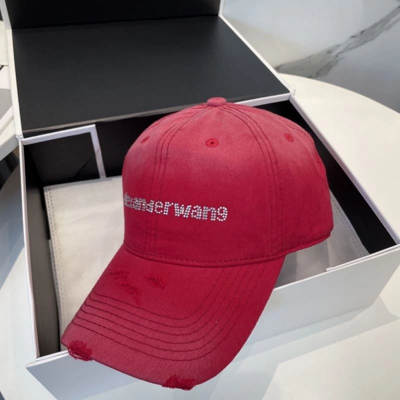 Low-cost Alexander Wang Caps