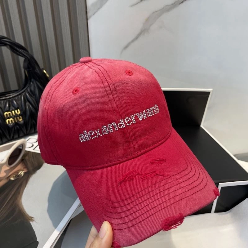 Low-cost Alexander Wang Caps
