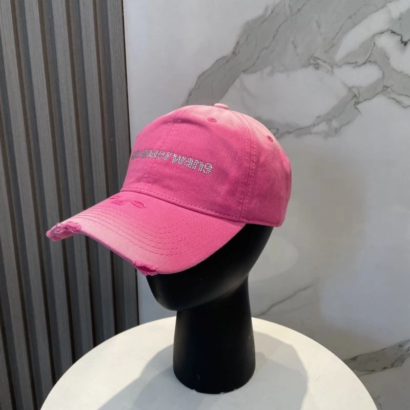Alexander Wang Caps