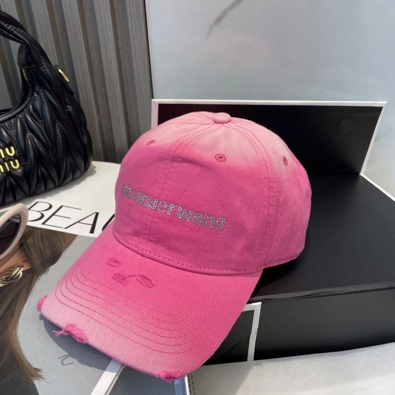 Reasonably priced Alexander Wang Caps