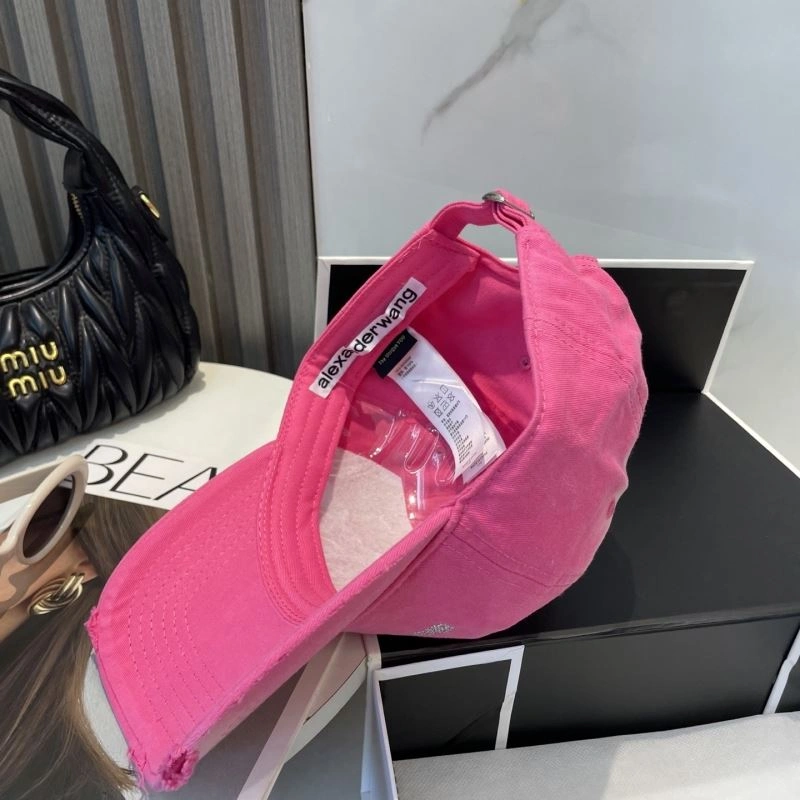 Reasonably priced Alexander Wang Caps