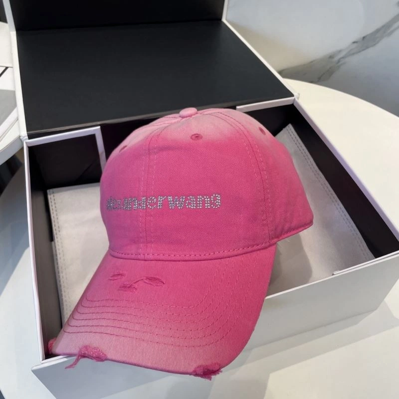 Reasonably priced Alexander Wang Caps