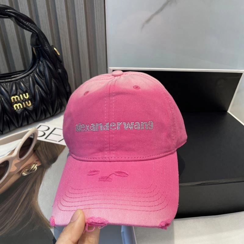 Reasonably priced Alexander Wang Caps