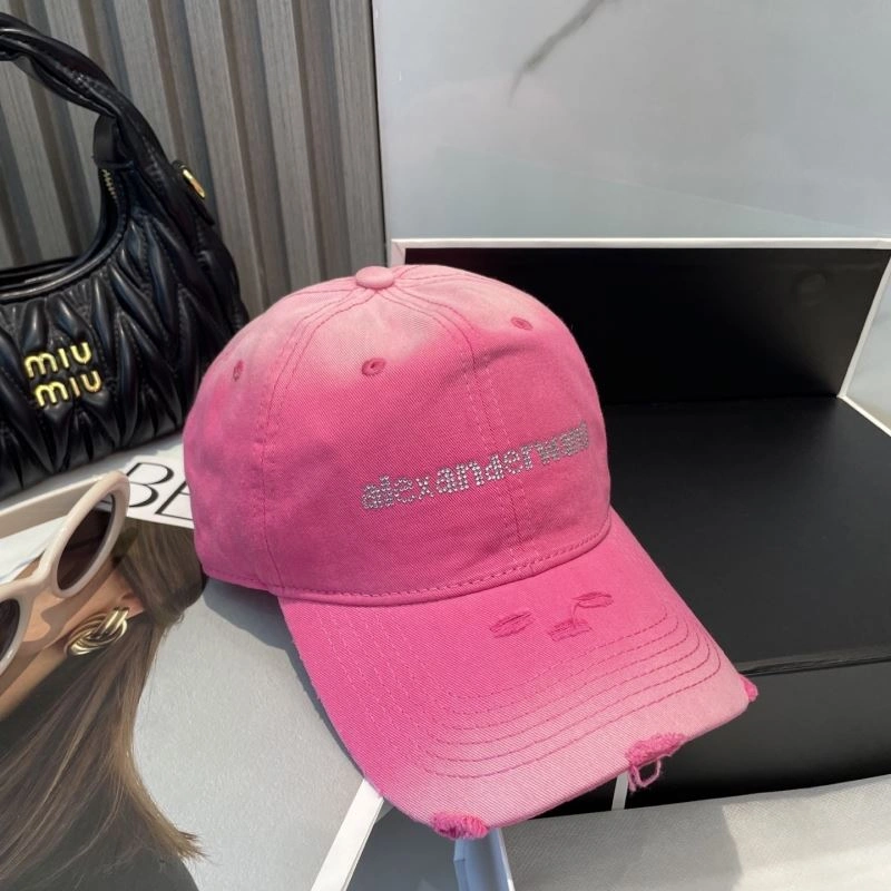 Reasonably priced Alexander Wang Caps