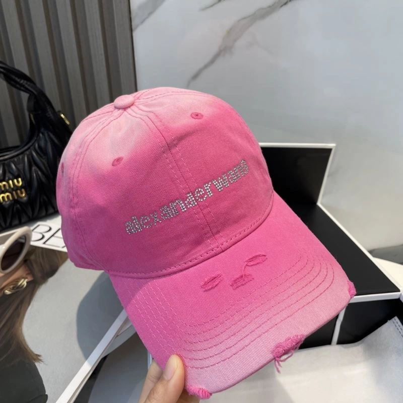 Reasonably priced Alexander Wang Caps