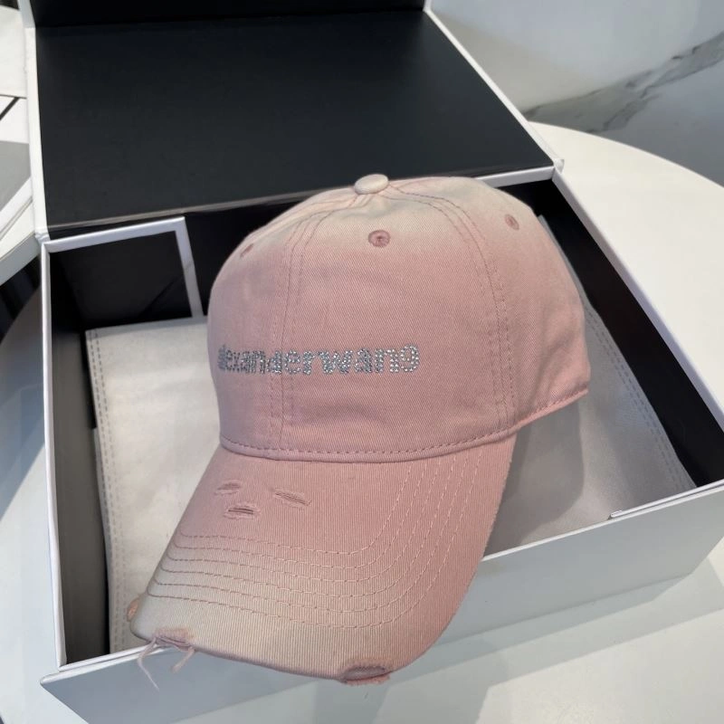 Discounted Alexander Wang Caps