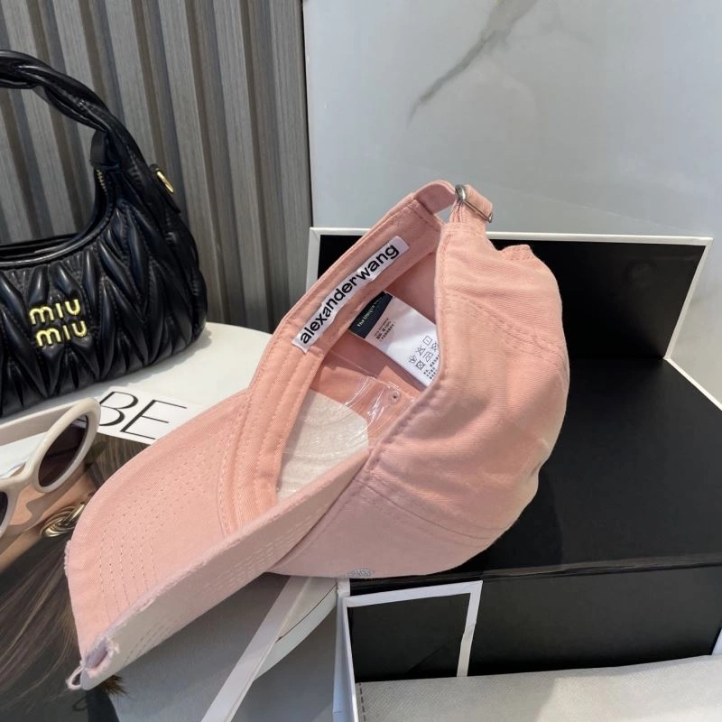 Discounted Alexander Wang Caps