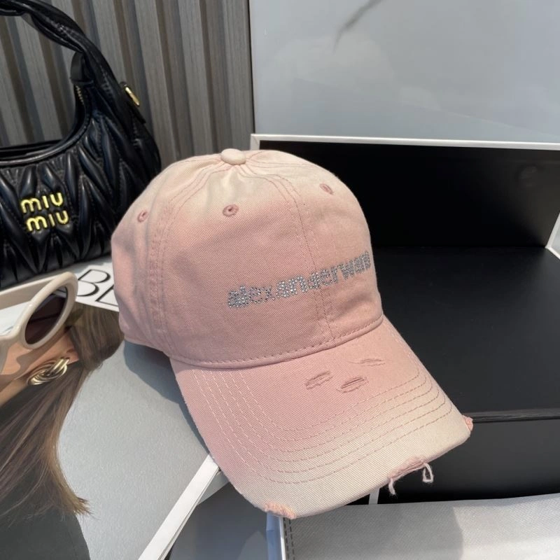 Discounted Alexander Wang Caps
