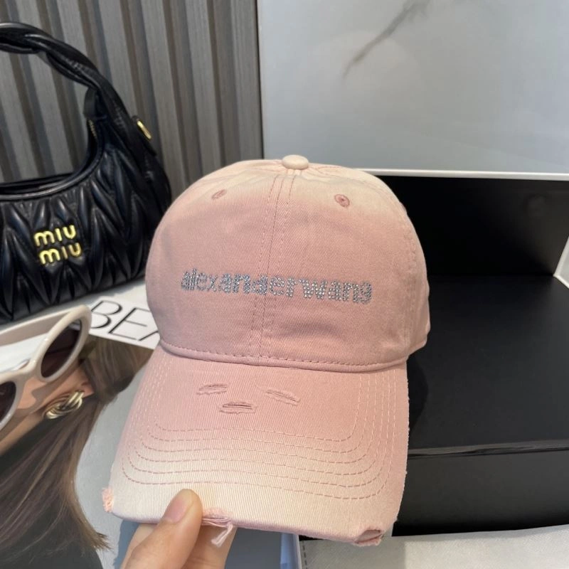Discounted Alexander Wang Caps