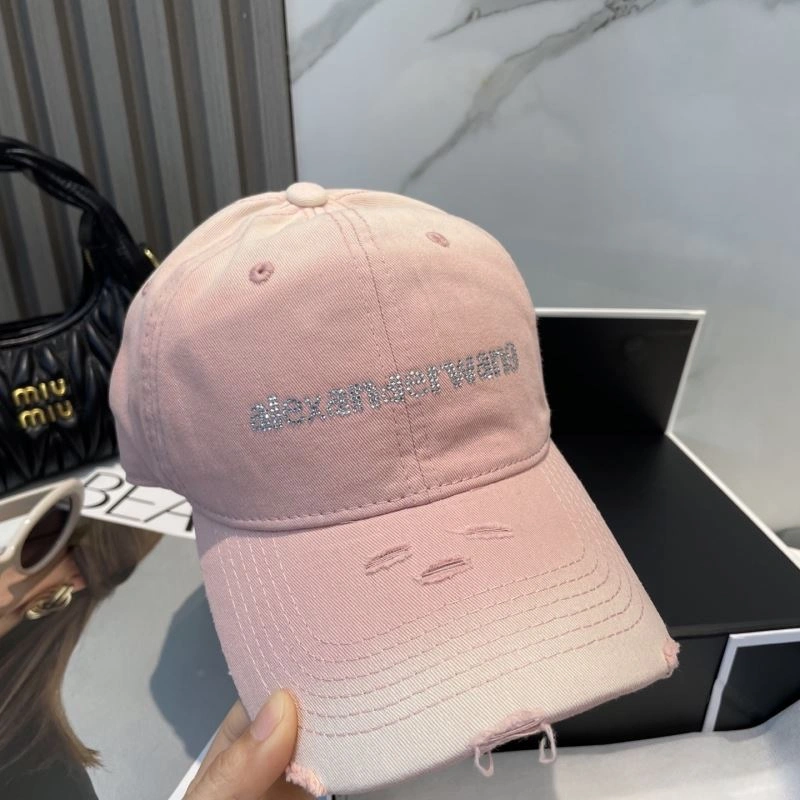 Discounted Alexander Wang Caps