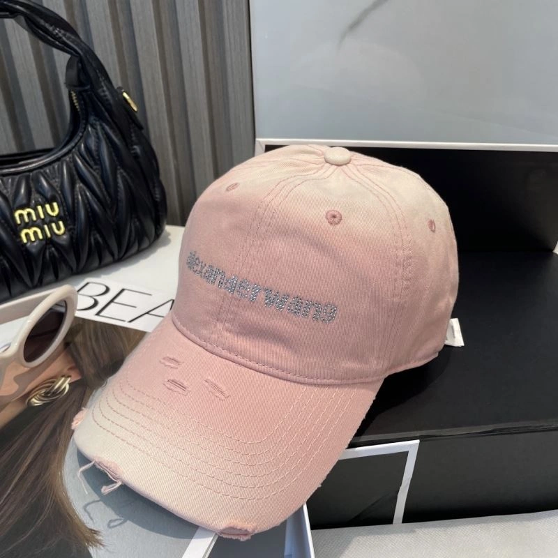 Discounted Alexander Wang Caps